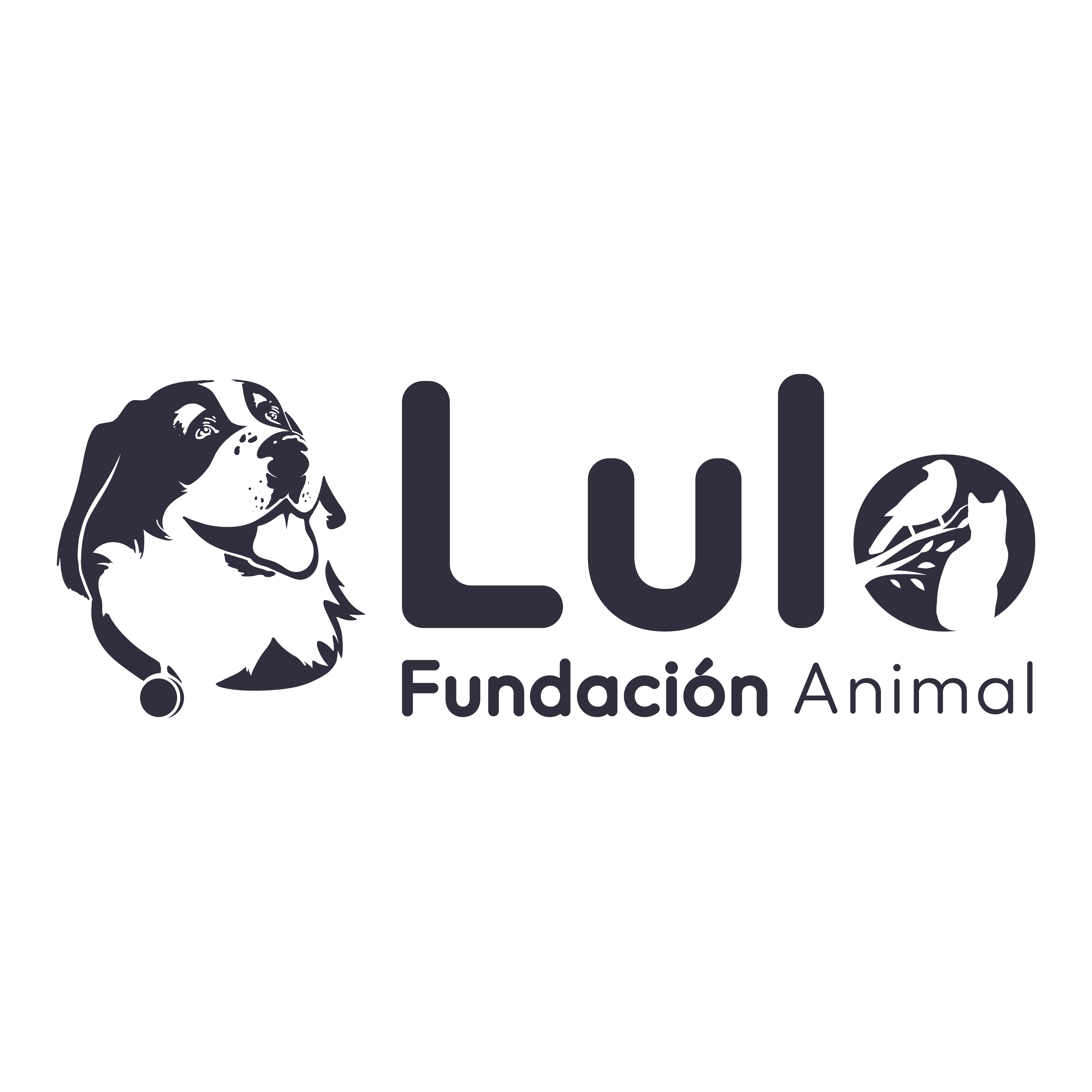 Lulo Animal Foundation